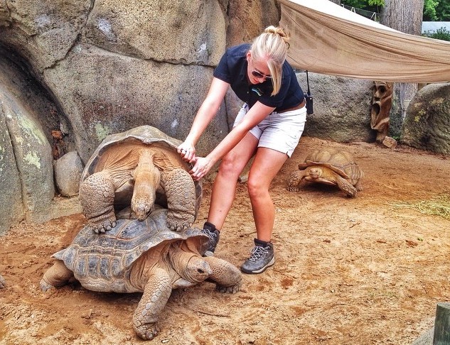 Zoo software - ZooEasy