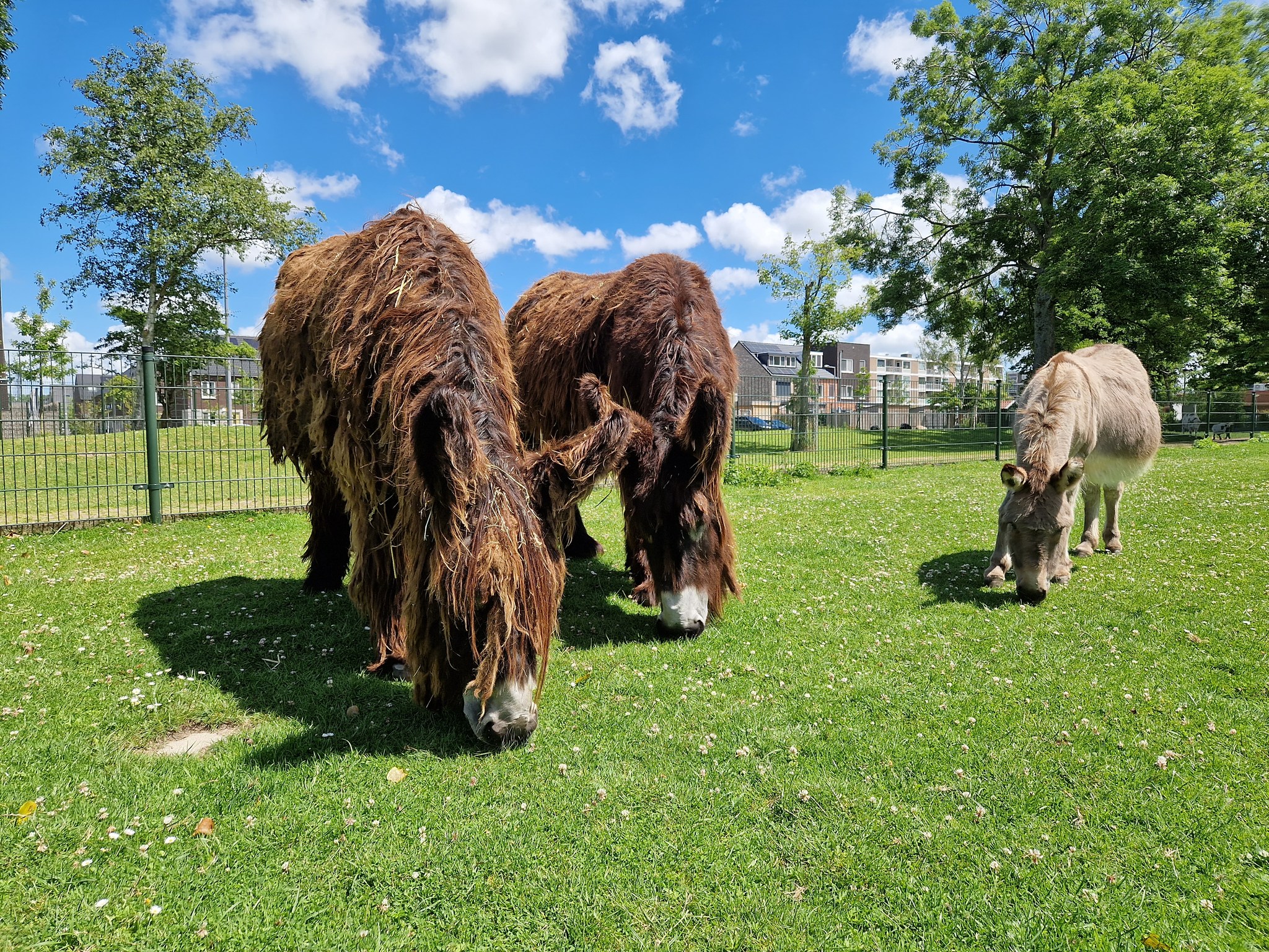 'Having insight into all the animals present is a great advantage for ...